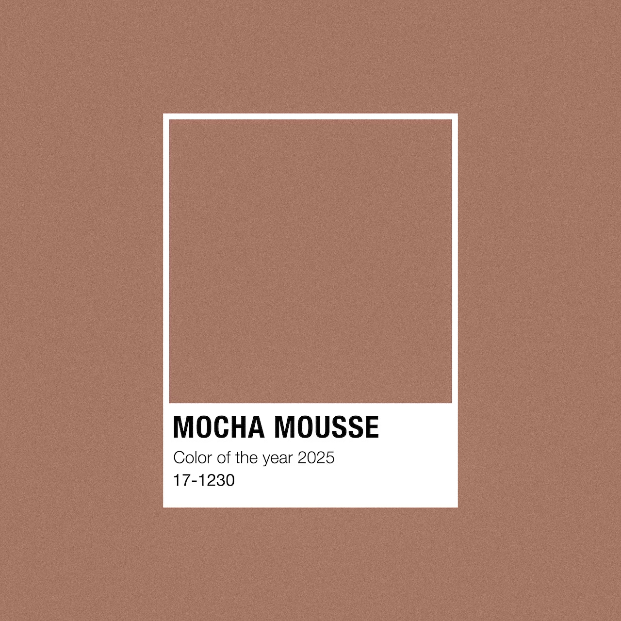 Mocha Mousse, el Color del Año 2025 de Pantone